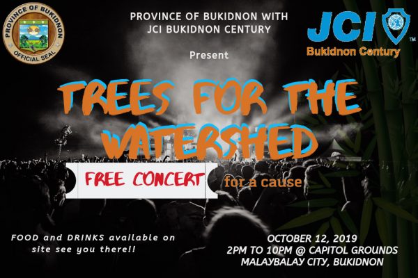 IN PHOTOS: Bukidnon awashed with lovely golden trumpet trees - Bukidnon ...