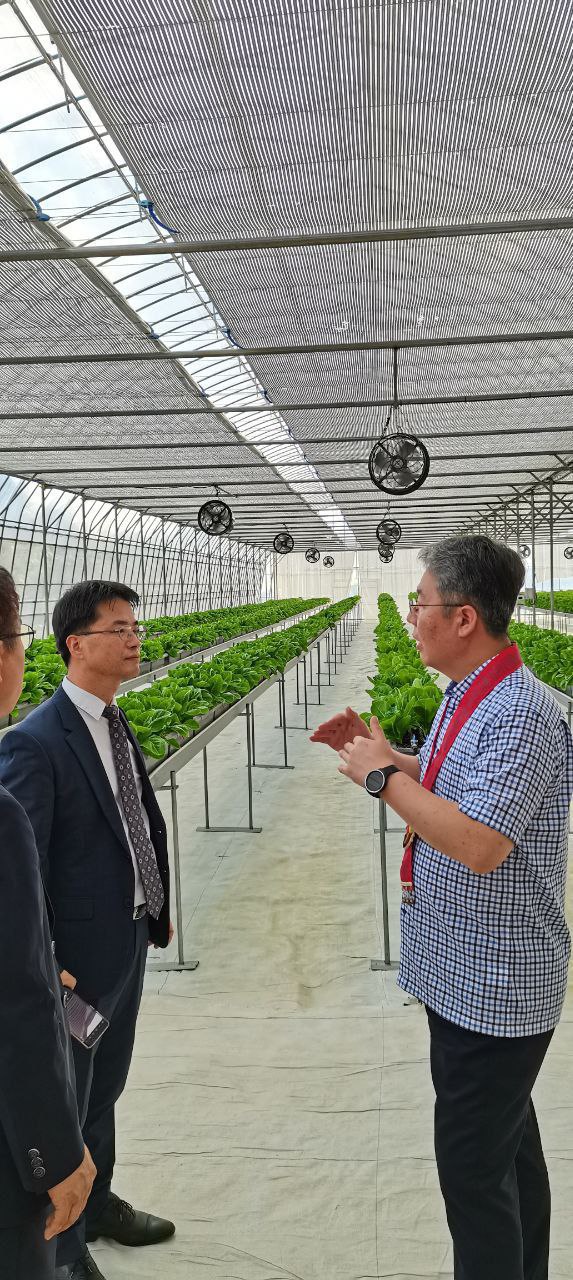 Check out these high-tech, Php 100M Korean greenhouses in Bukidnon - Bukidnon Online